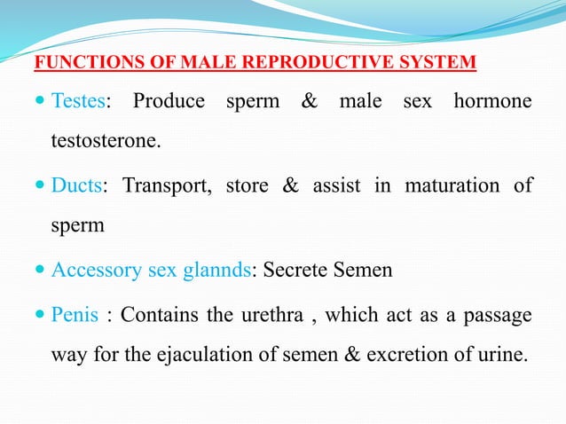 Reproductive system intro Part 1 | PPTX | Infertility | Reproductive Health