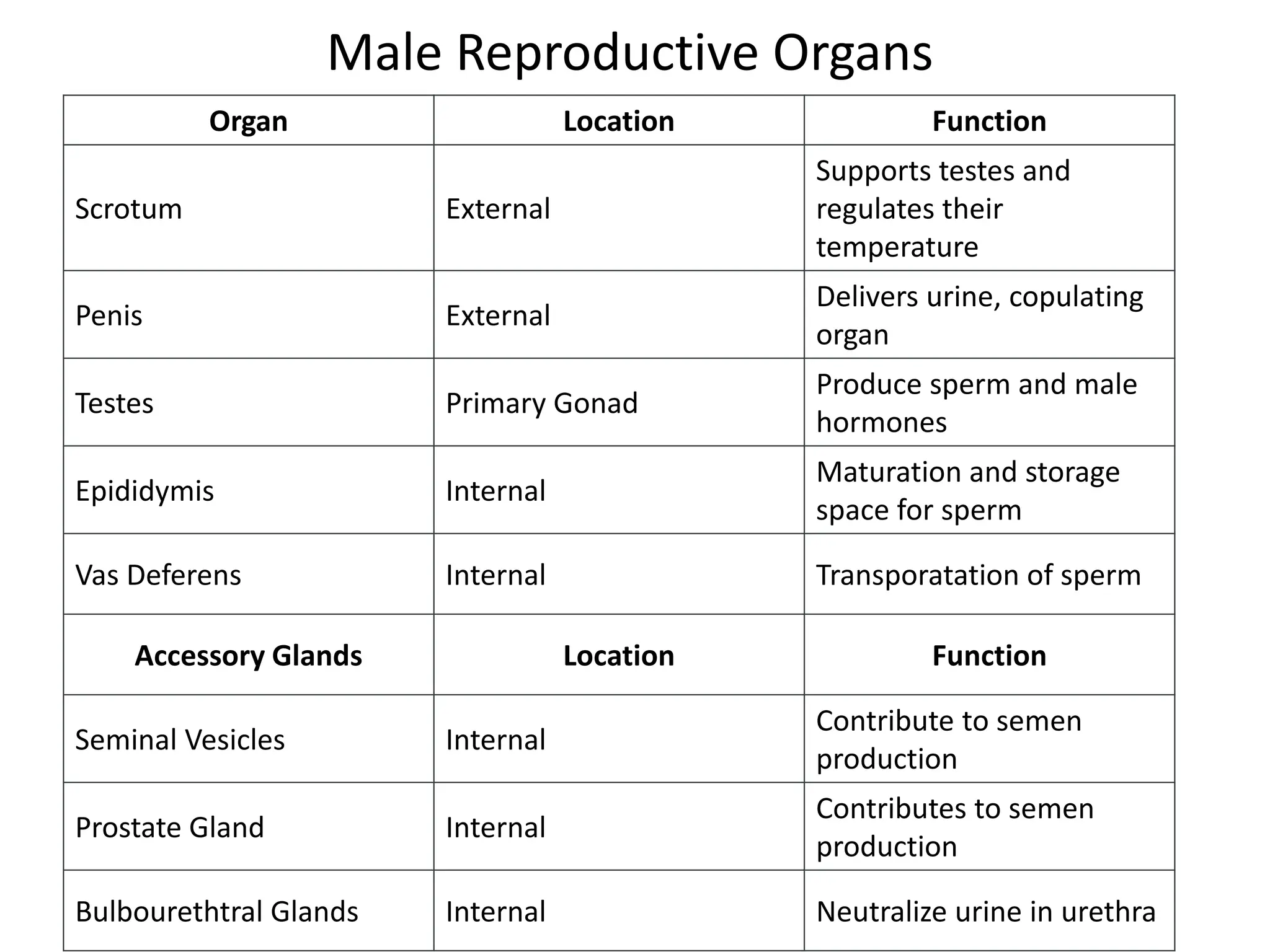 Reproductive System Introduction MBBS.pptx