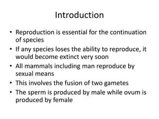 Reproductive System Introduction MBBS.pptx