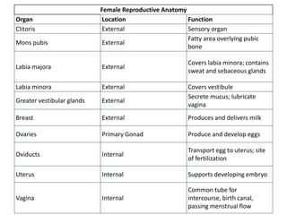 Reproductive System Introduction MBBS.pptx