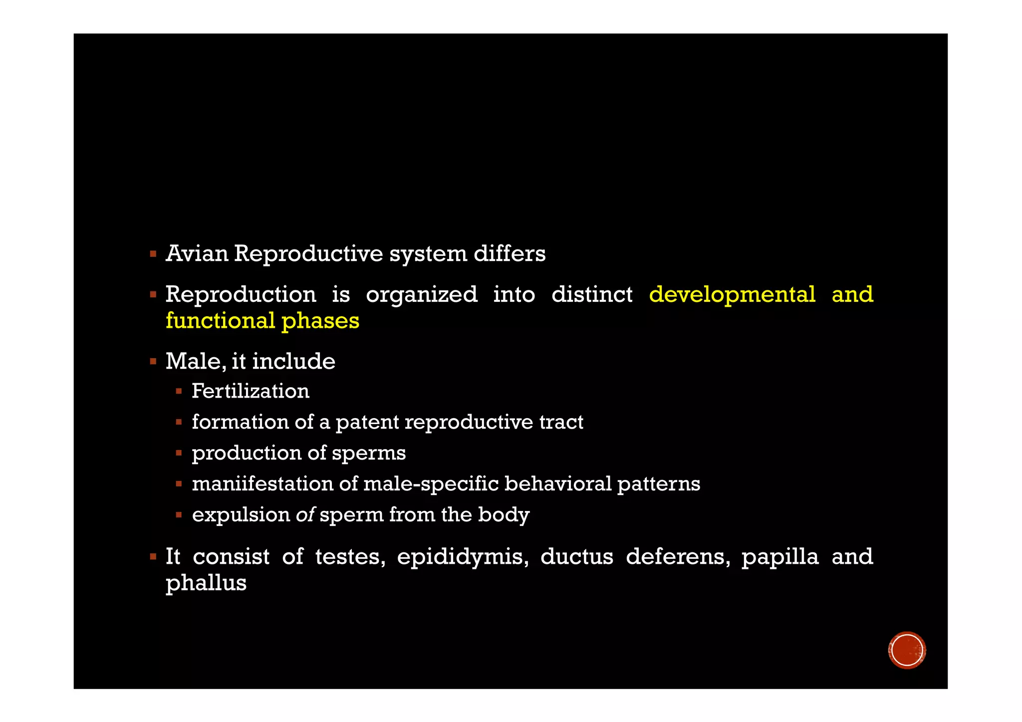 Reproductive system male | PDF