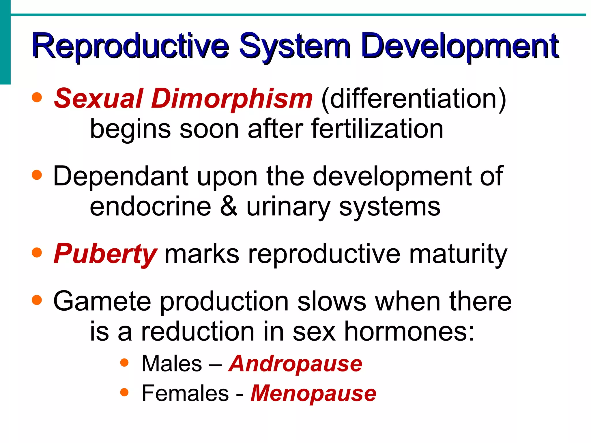 Reproductive system Notes | PPT