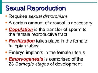 Reproductive system Notes | PPT