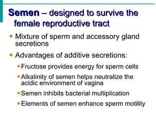Reproductive system Notes | PPT