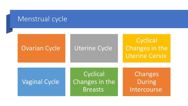 Reproductive system_Nursing.pdf
