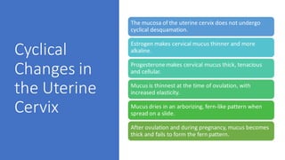 Reproductive system_Nursing.pdf