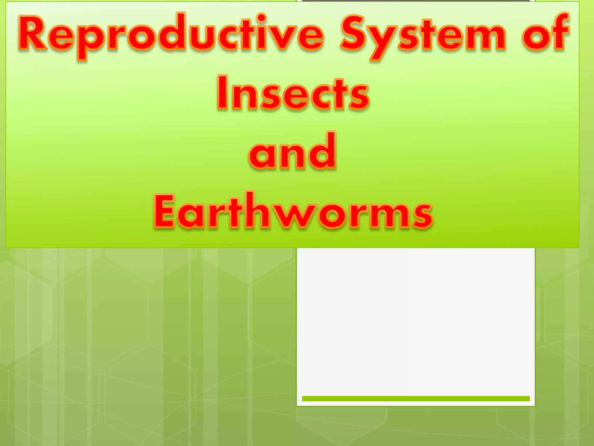 Reproductive system of eartworms and insects | PPTX