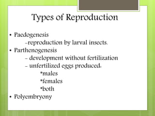 Reproductive system of eartworms and insects | PPT