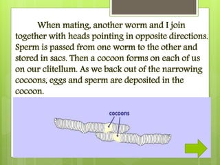 Reproductive system of eartworms and insects | PPTX