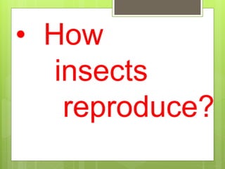 Reproductive system of eartworms and insects | PPT