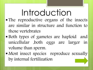 Reproductive system of eartworms and insects | PPT