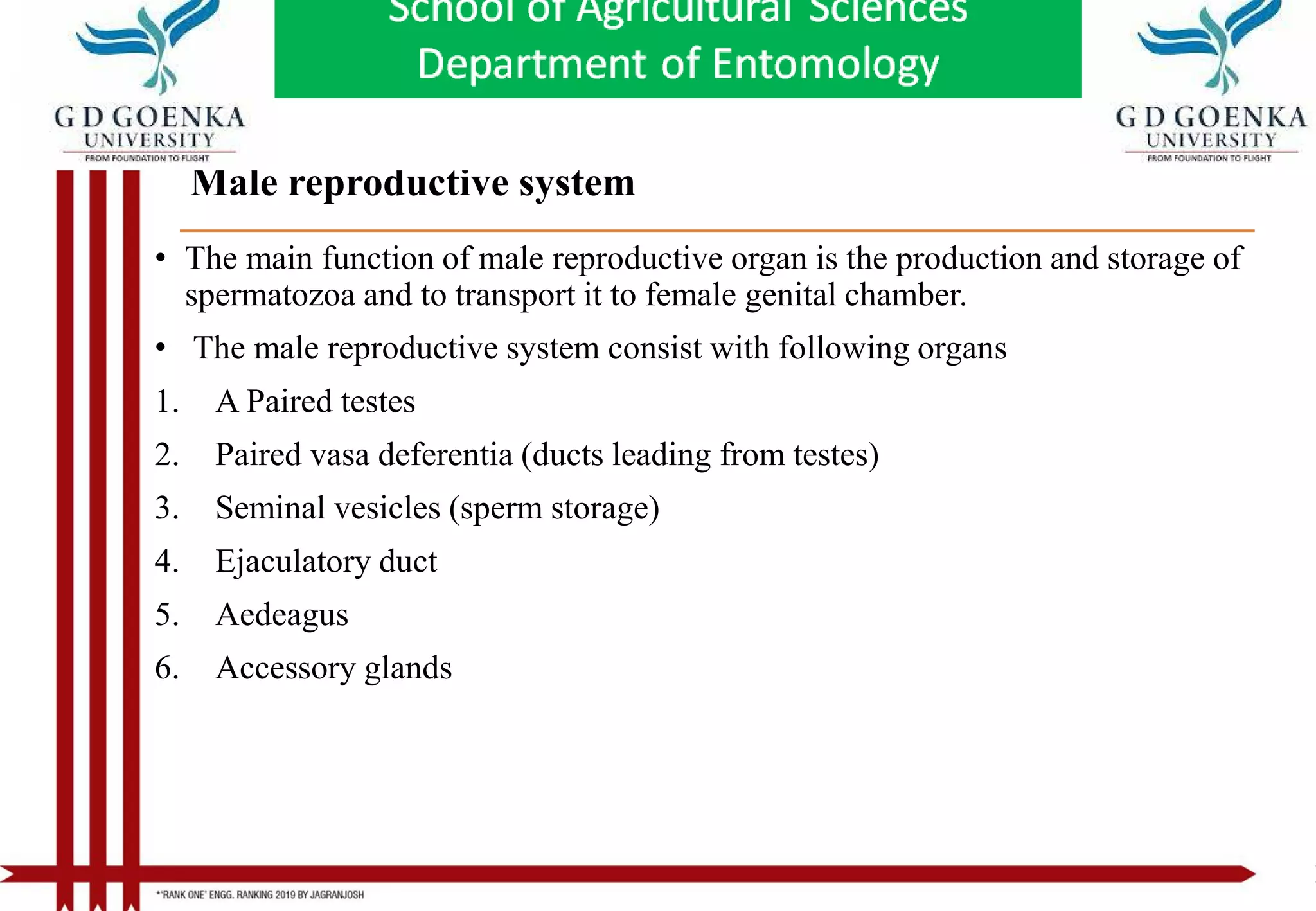 Reproductive system of insects.pdf