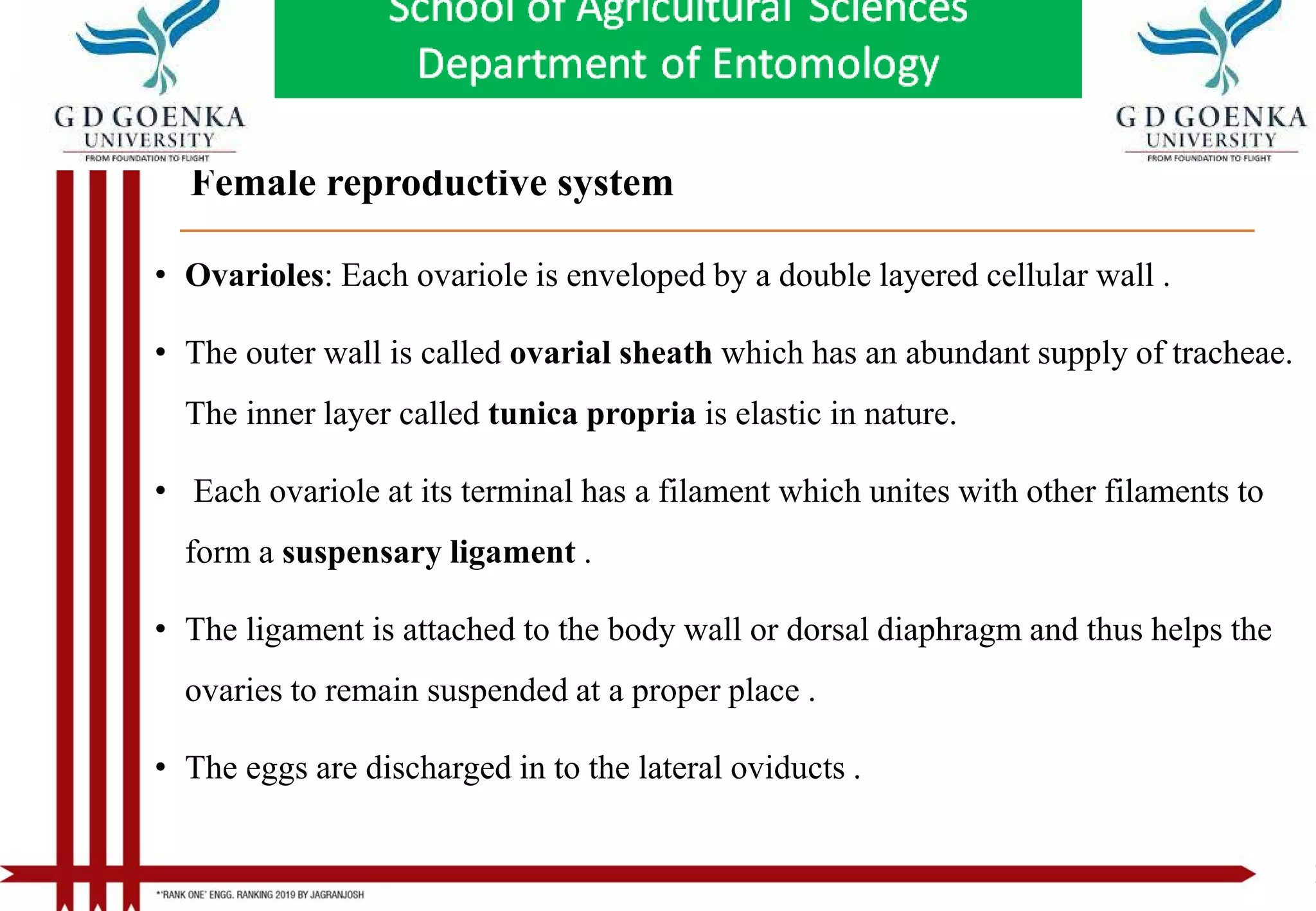 Reproductive system of insects.pdf