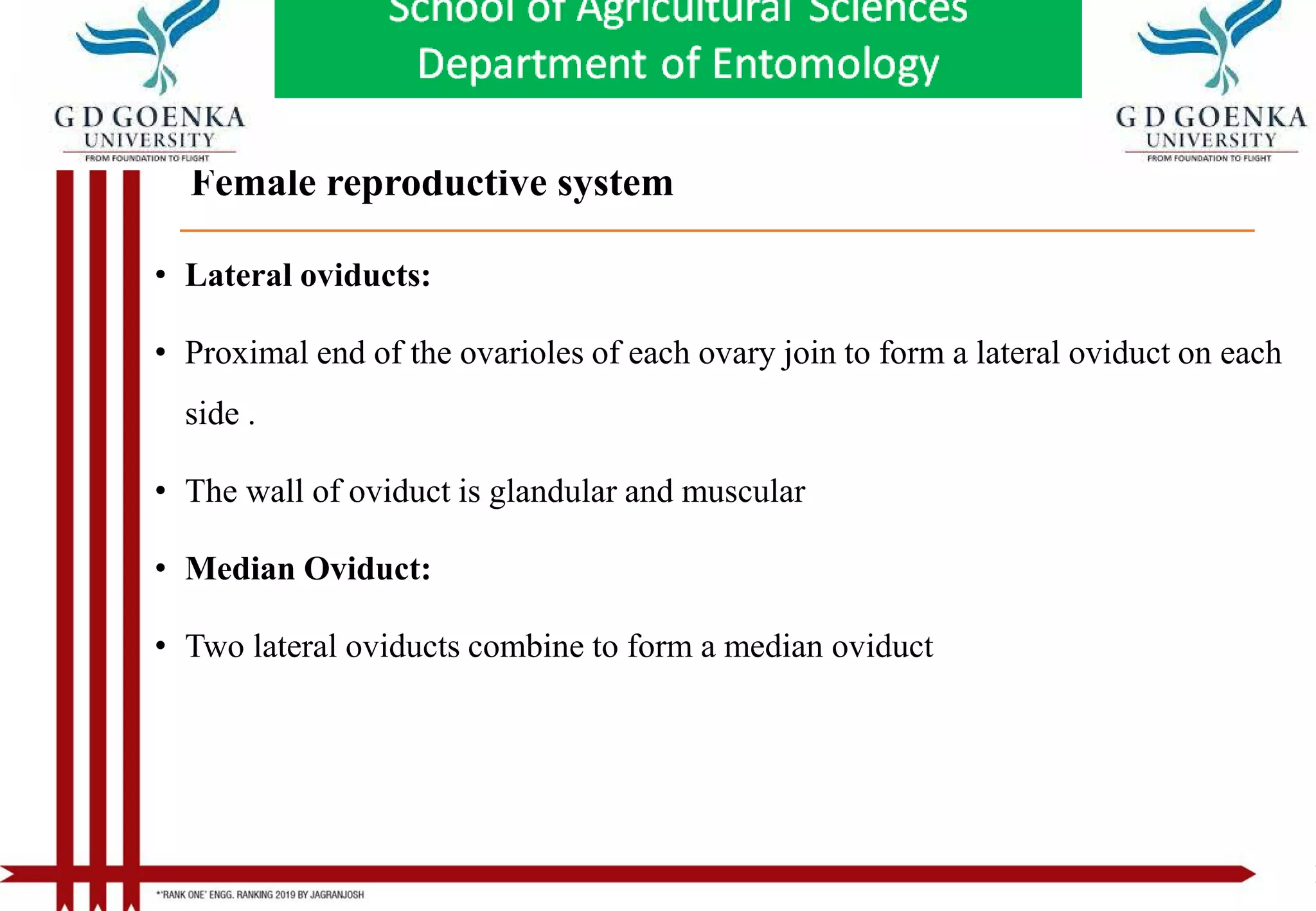 Reproductive system of insects.pdf