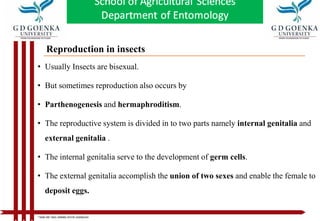 Reproductive system of insects.pdf