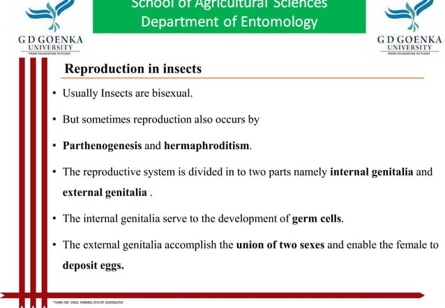 Reproductive system of insects.pdf