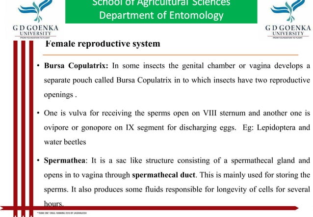 Reproductive system of insects.pdf