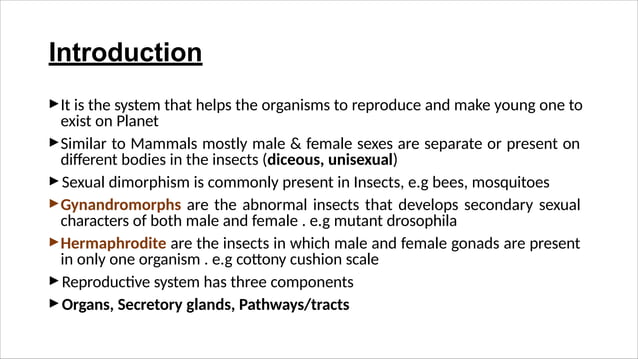 reproductive system of insects in detail.pptx