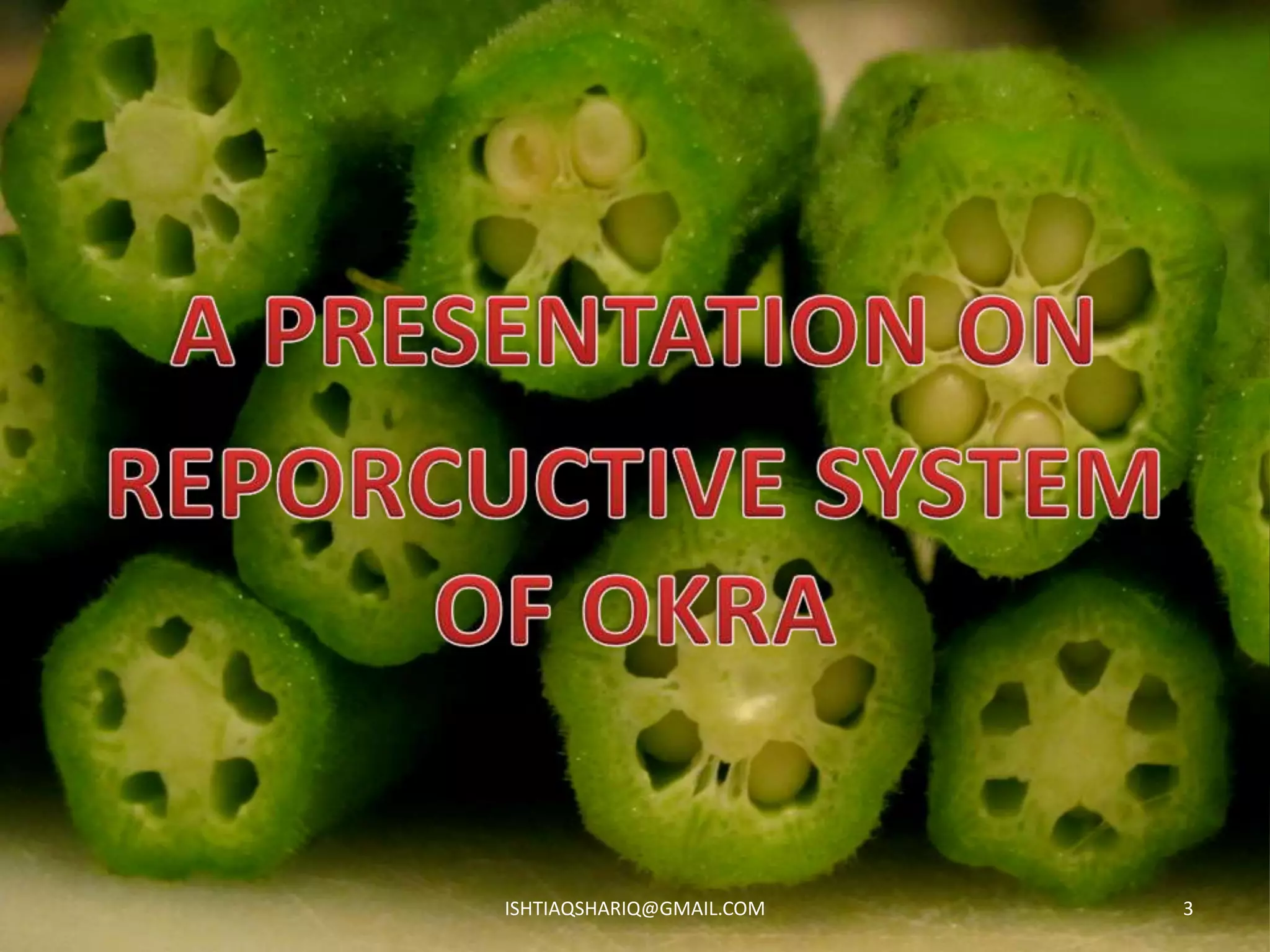Reproductive system of okra | PDF