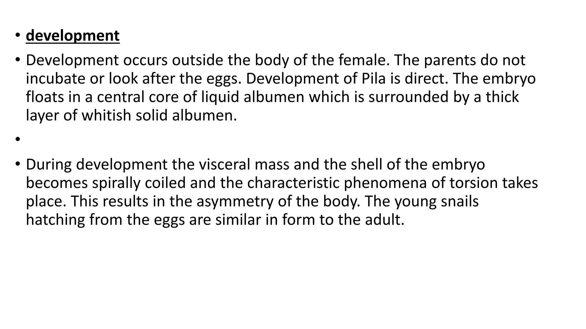 Pila reproduction.pptx