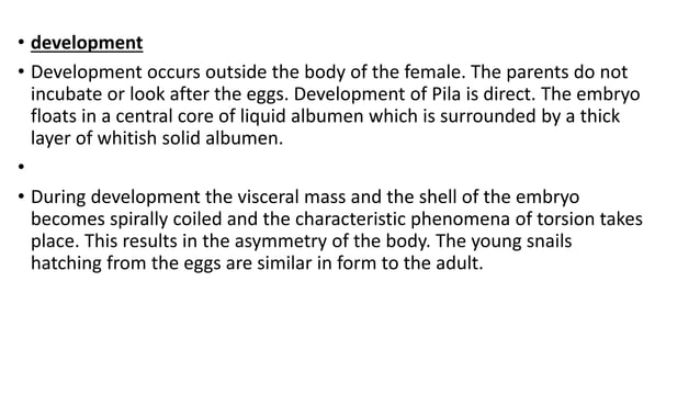 Pila reproduction.pptx