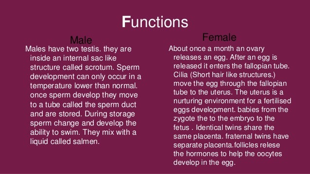 Reproductive System Olivia Johnson Reproductive System Olivia Johnson