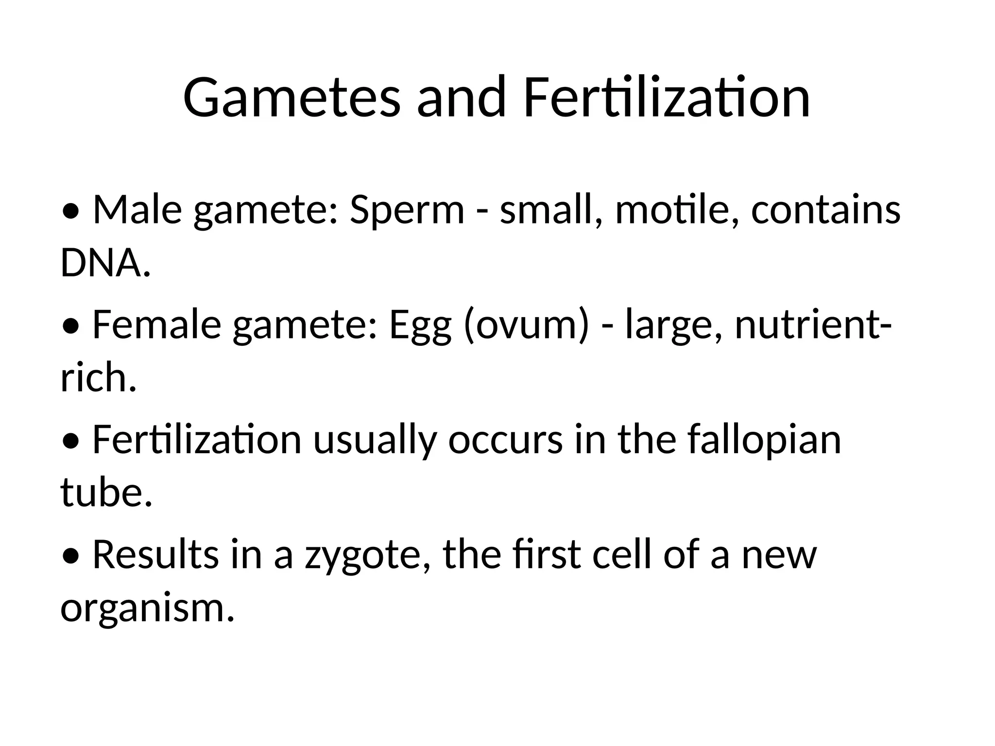 The Human Reproductive System: An Overview | PDF