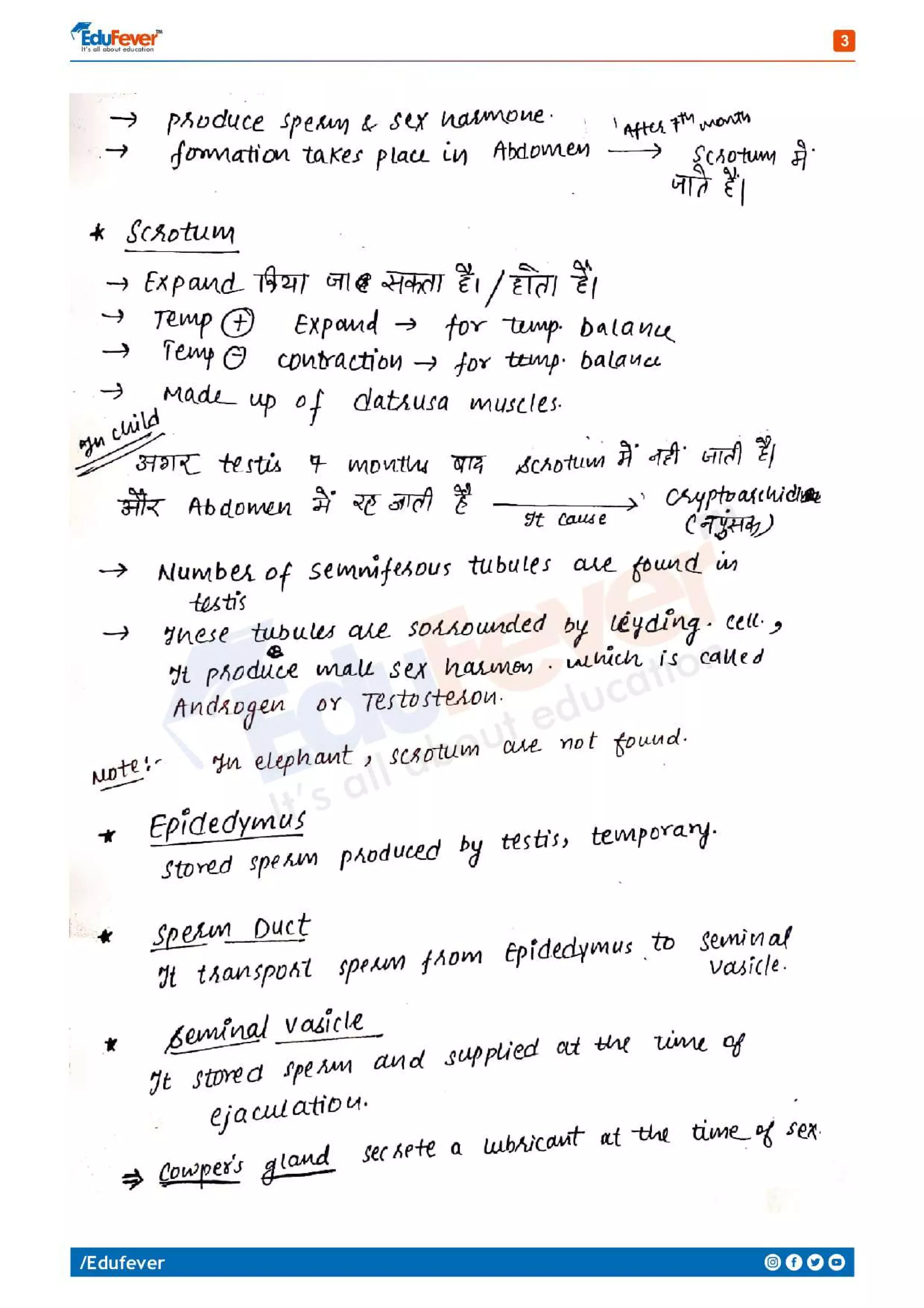 Reproductive system - Biology Handwritten Notes | PDF