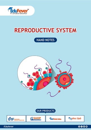 Reproductive system - Biology Handwritten Notes | PDF