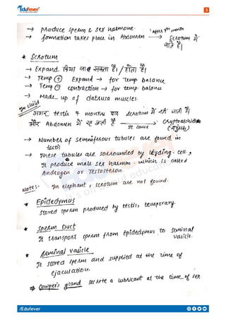 Reproductive system - Biology Handwritten Notes | PDF