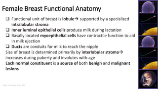 Reproductive System Pathology_FM Breast and FM Reproductive Systems | PDF
