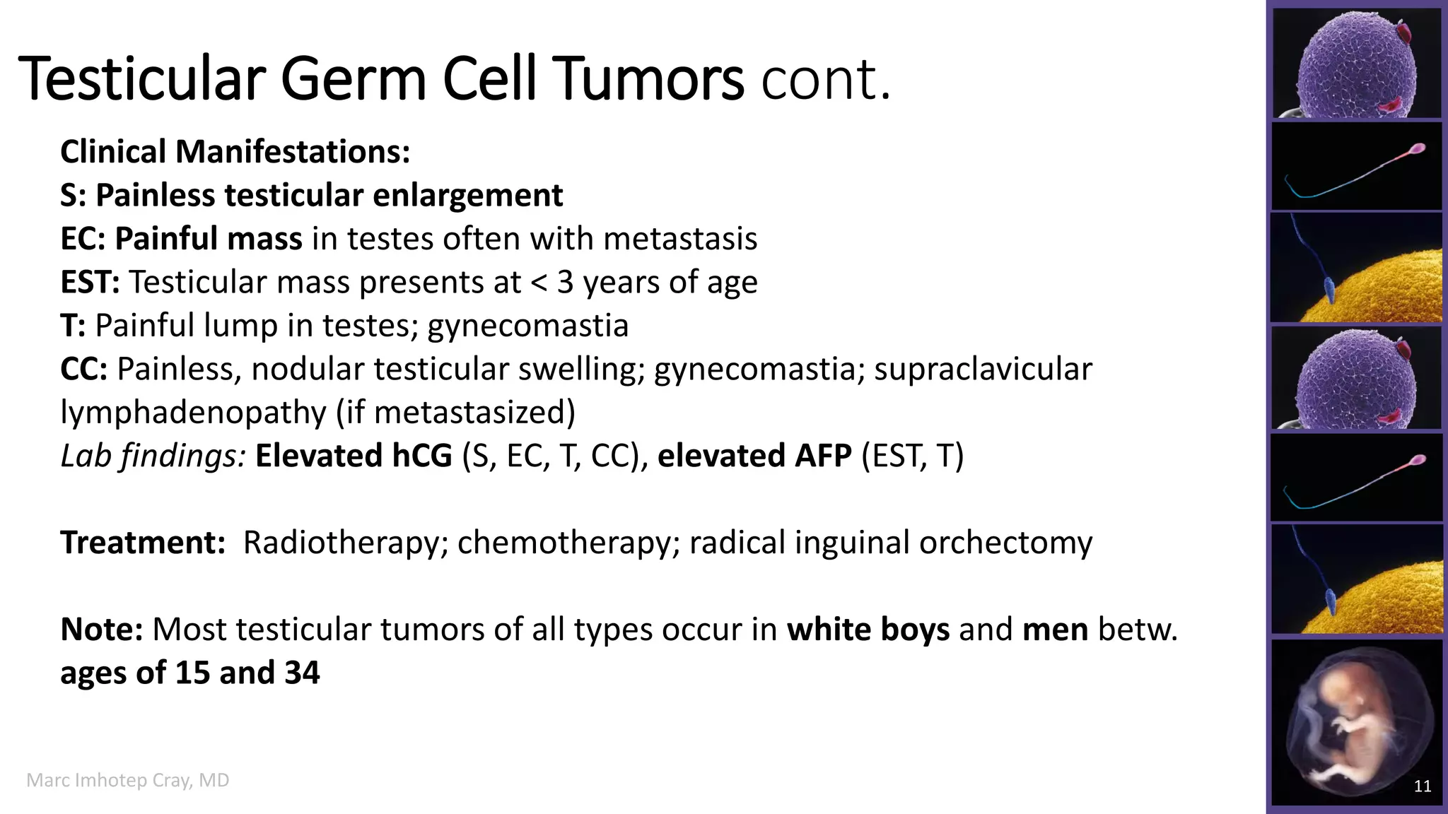 Reproductive System Pathology_Male Reproductive Systems | PDF