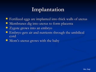Reproductive system power point | PPT