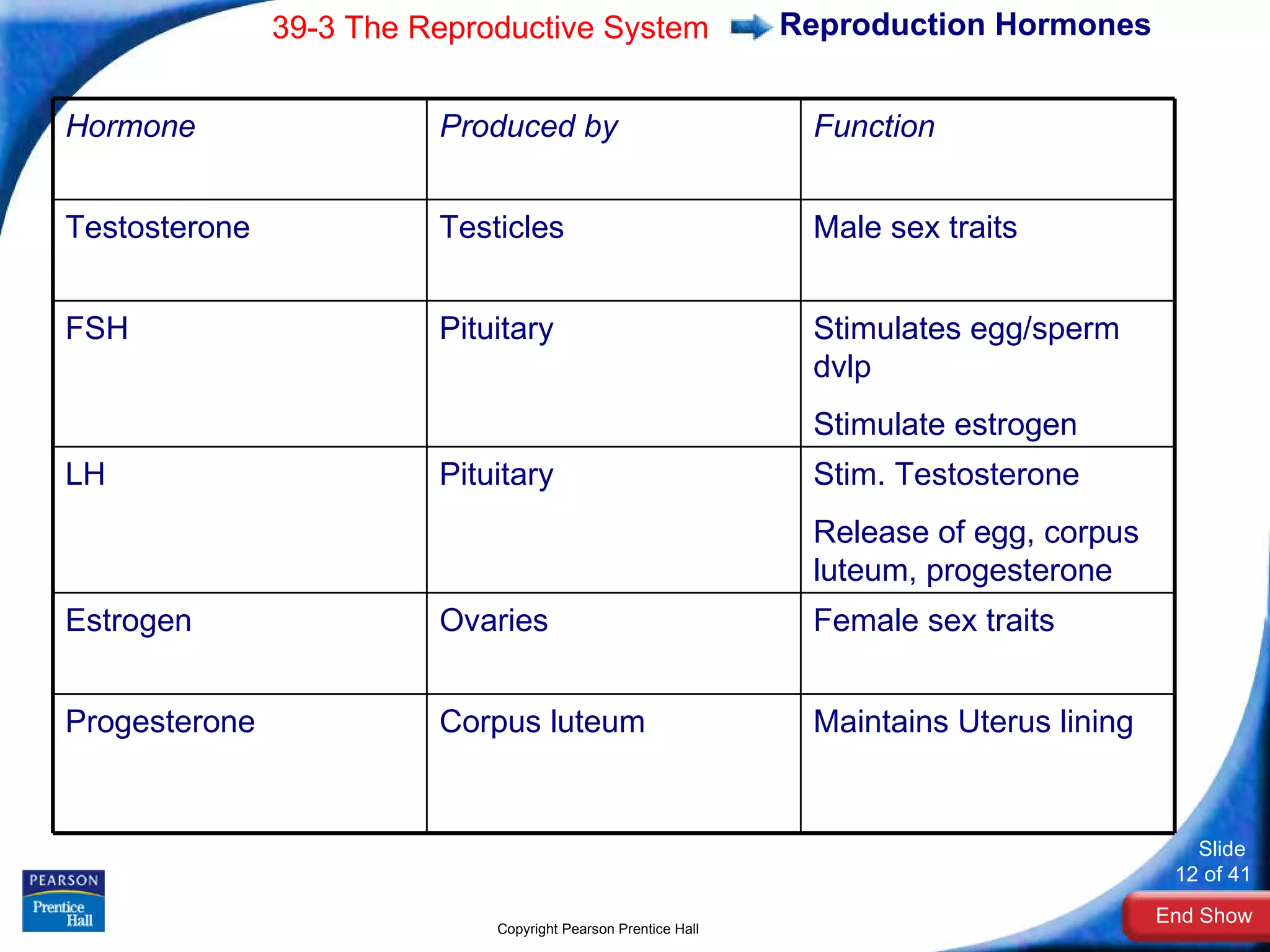 Reproductive system ppt | PPT