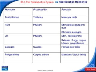 Reproductive system ppt | PPT