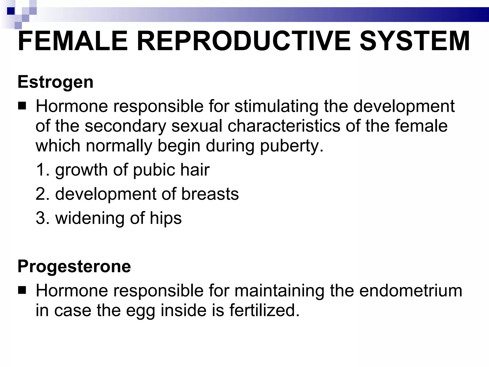REPRODUCTIVE SYSTEM | PPT