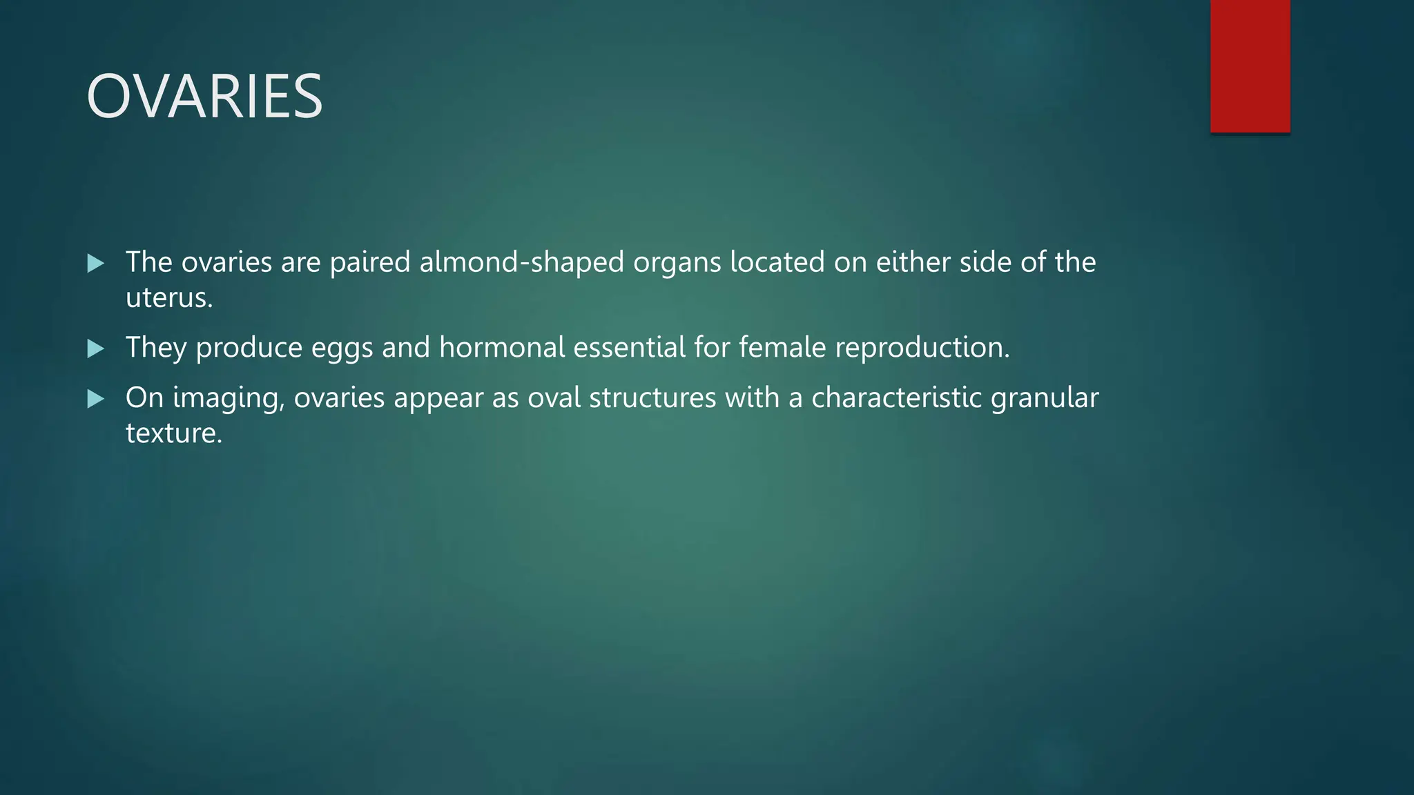 REPRODUCTIVE SYSTEM PPT.pptx radiographic | PPTX