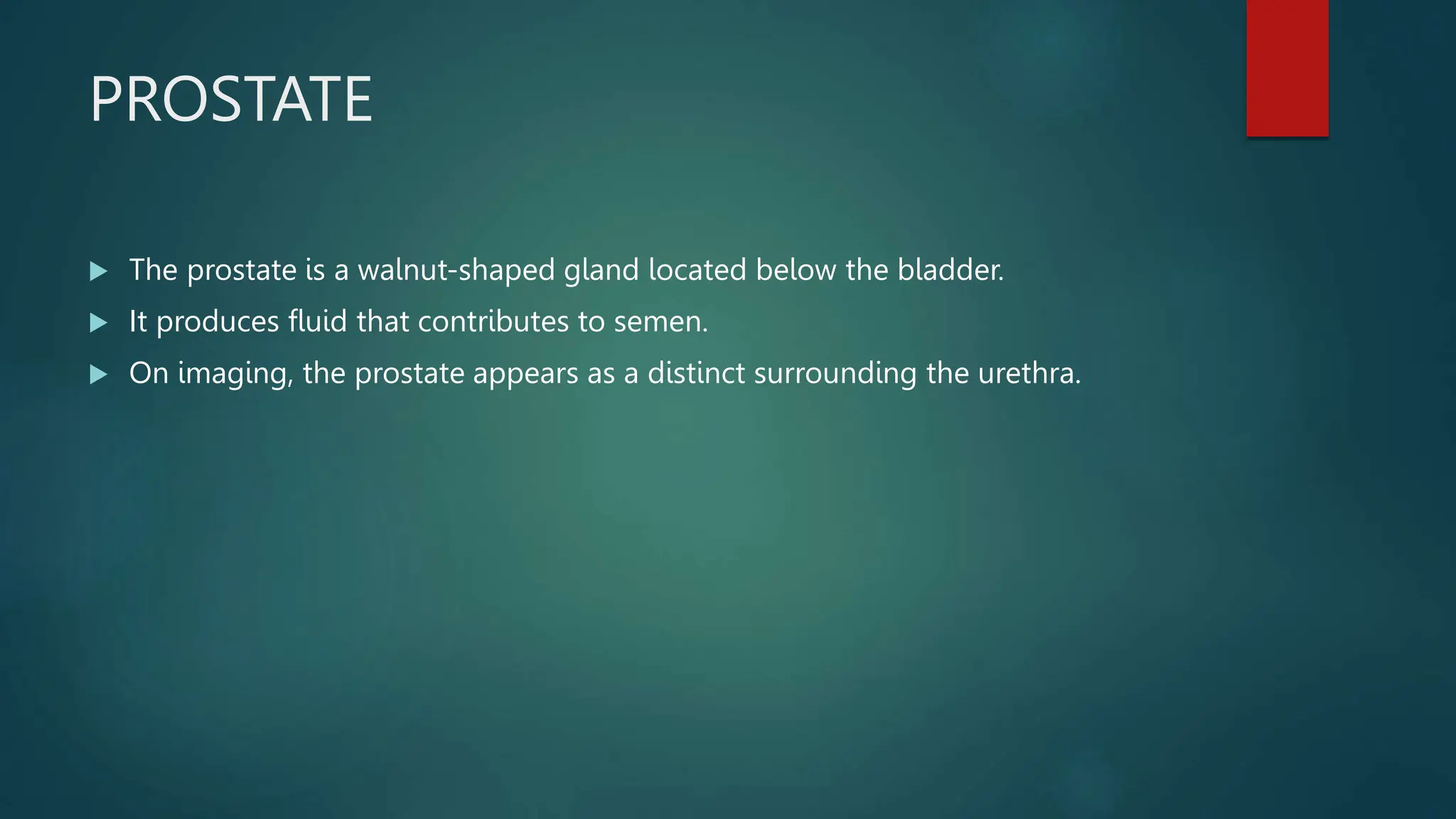 REPRODUCTIVE SYSTEM PPT.pptx radiographic | PPTX