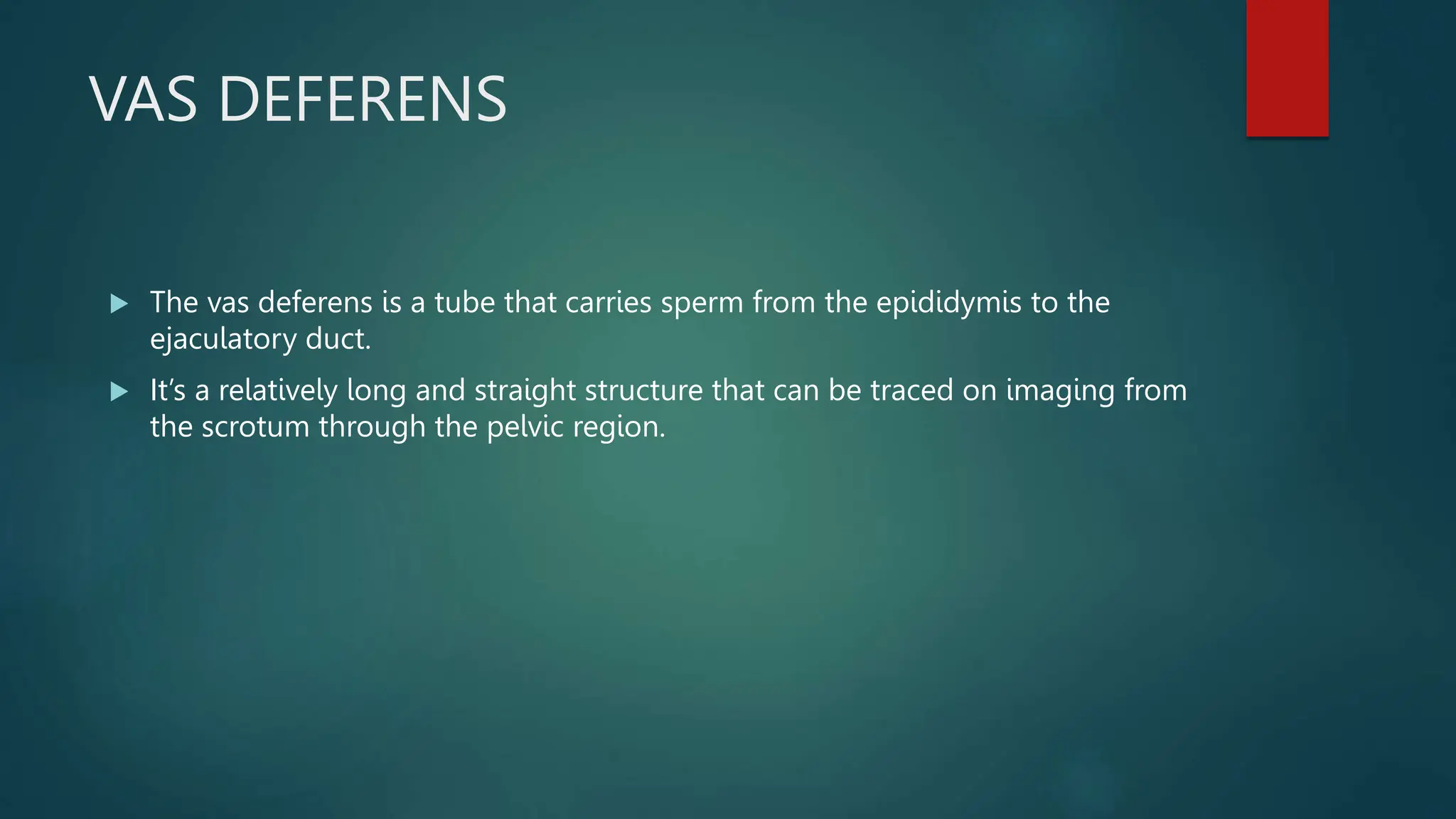 REPRODUCTIVE SYSTEM PPT.pptx radiographic | PPTX