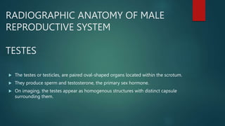 REPRODUCTIVE SYSTEM PPT.pptx radiographic | PPTX