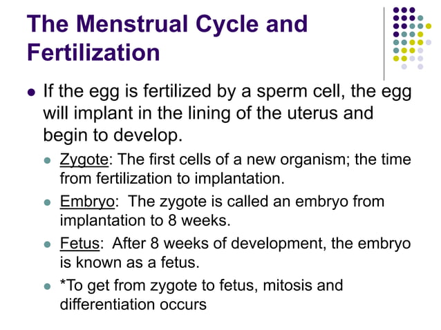Reproductive System PPT2.ppt