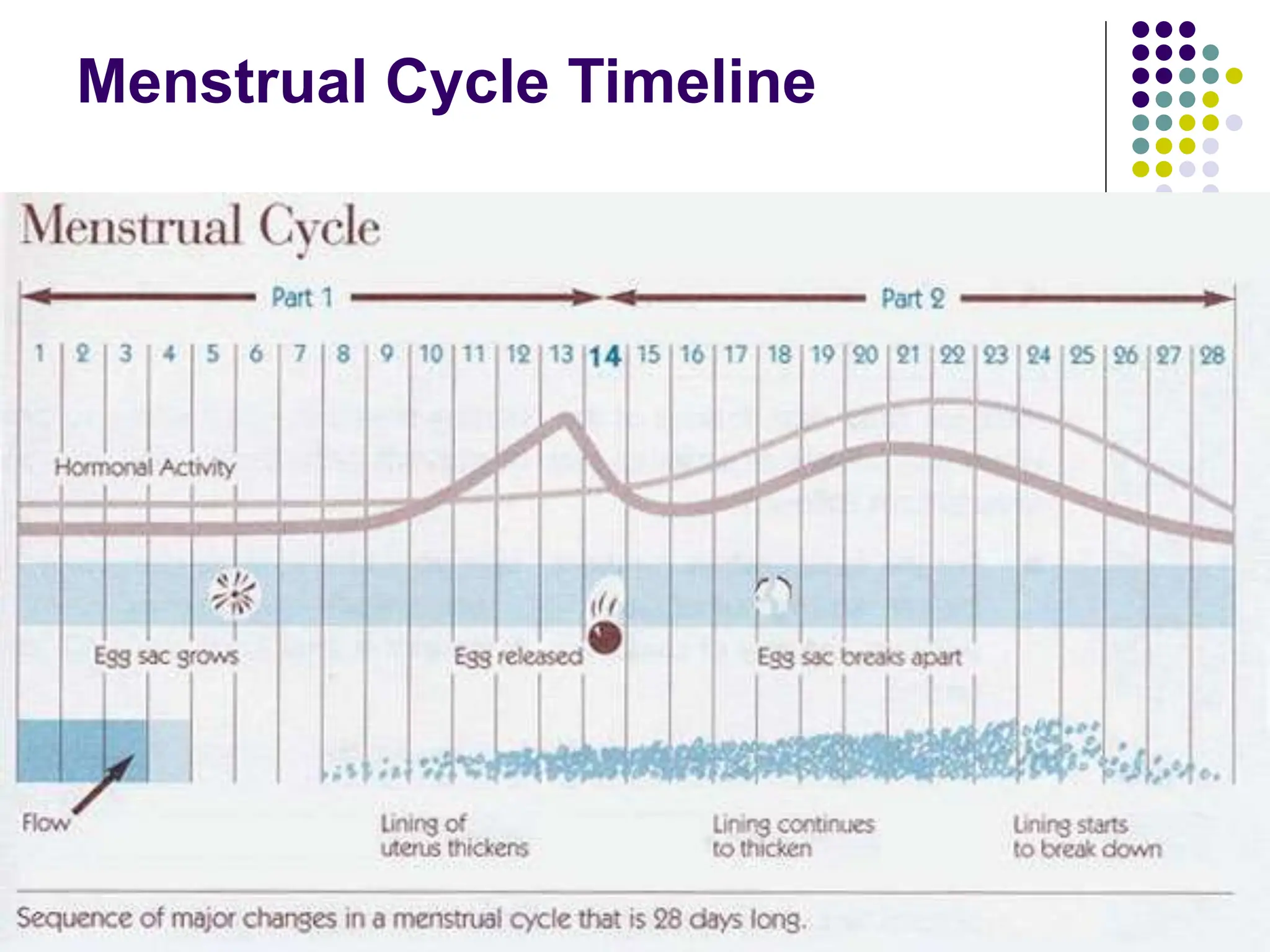 Reproductive System PPT2.ppt for grade 10 | PPT