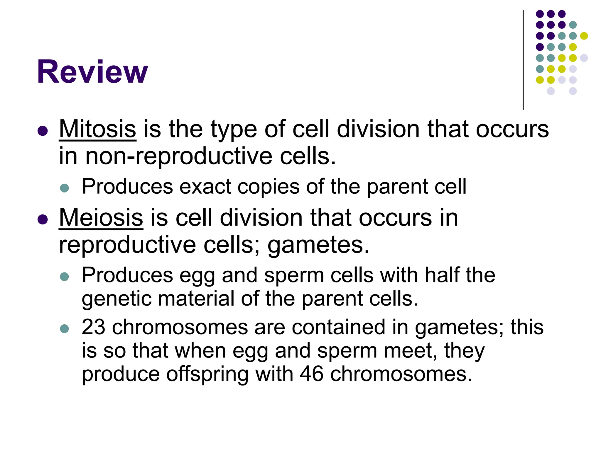 Reproductive System PPT2.ppt for grade 10 | PPT