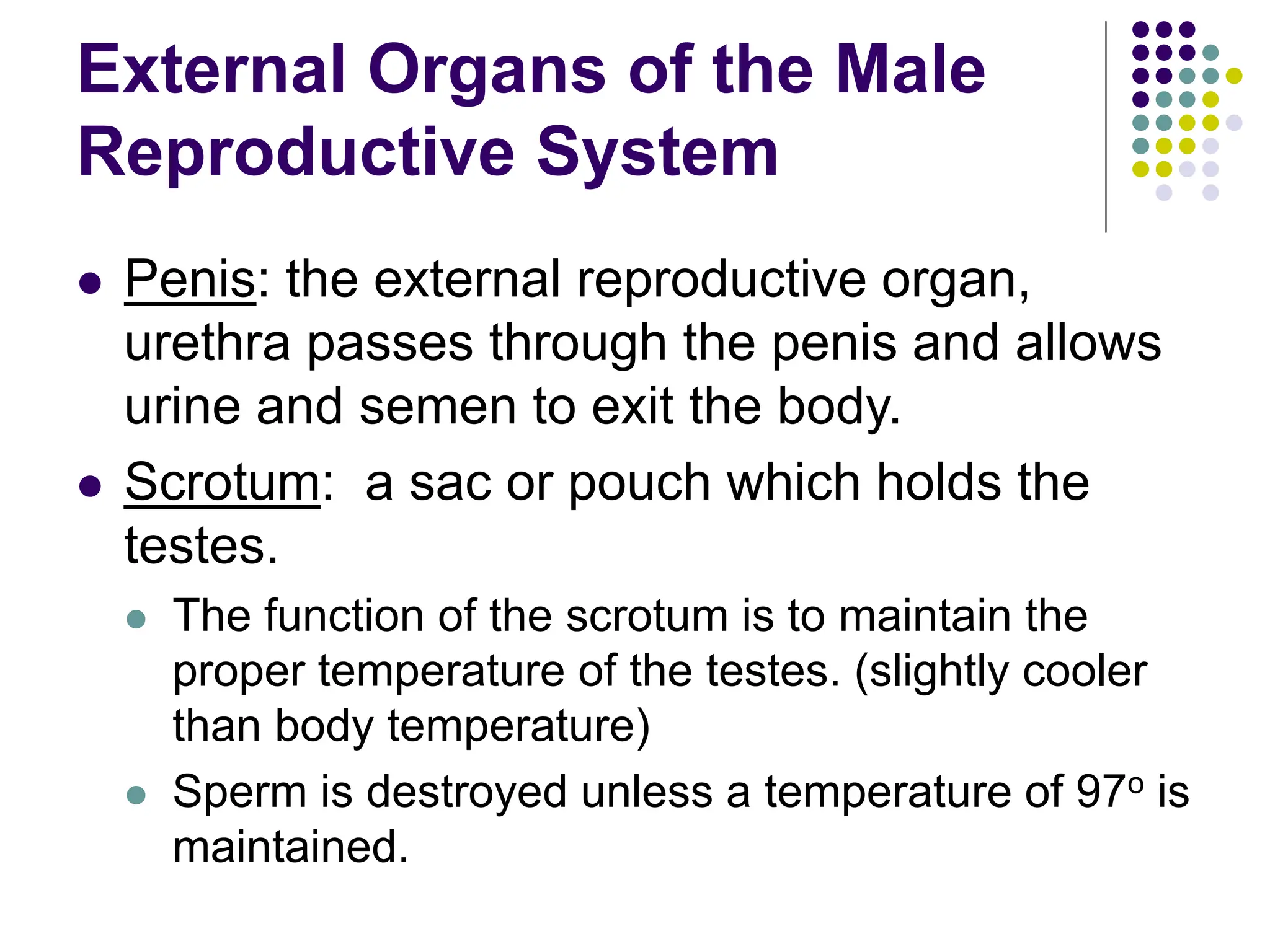 Reproductive System PPT2.ppt for grade 10 | PPT