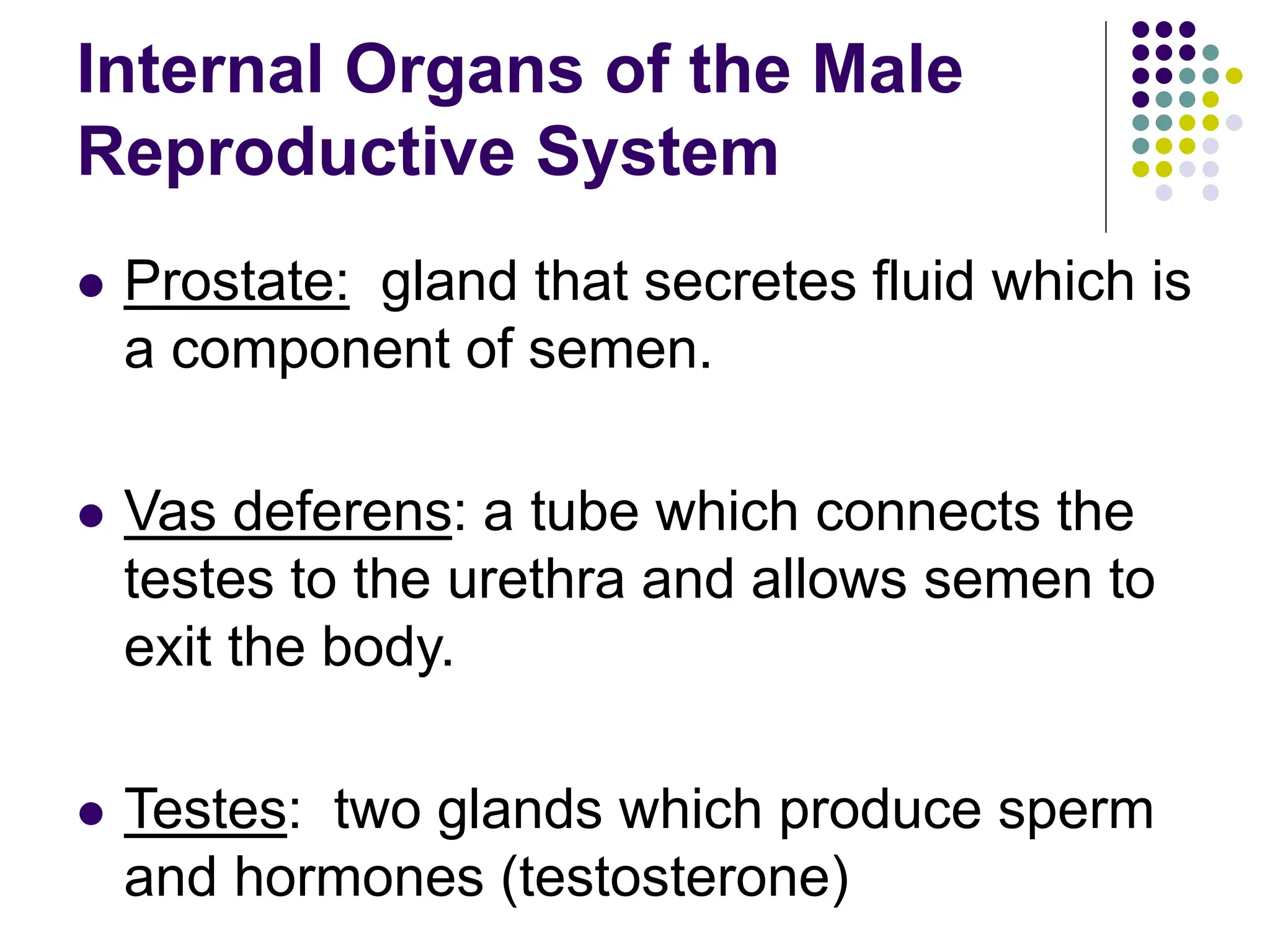 Reproductive System PPT2.ppt for grade 10 | PPT