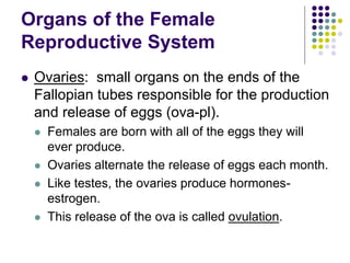 Reproductive System PPT2.ppt for grade 10 | PPT