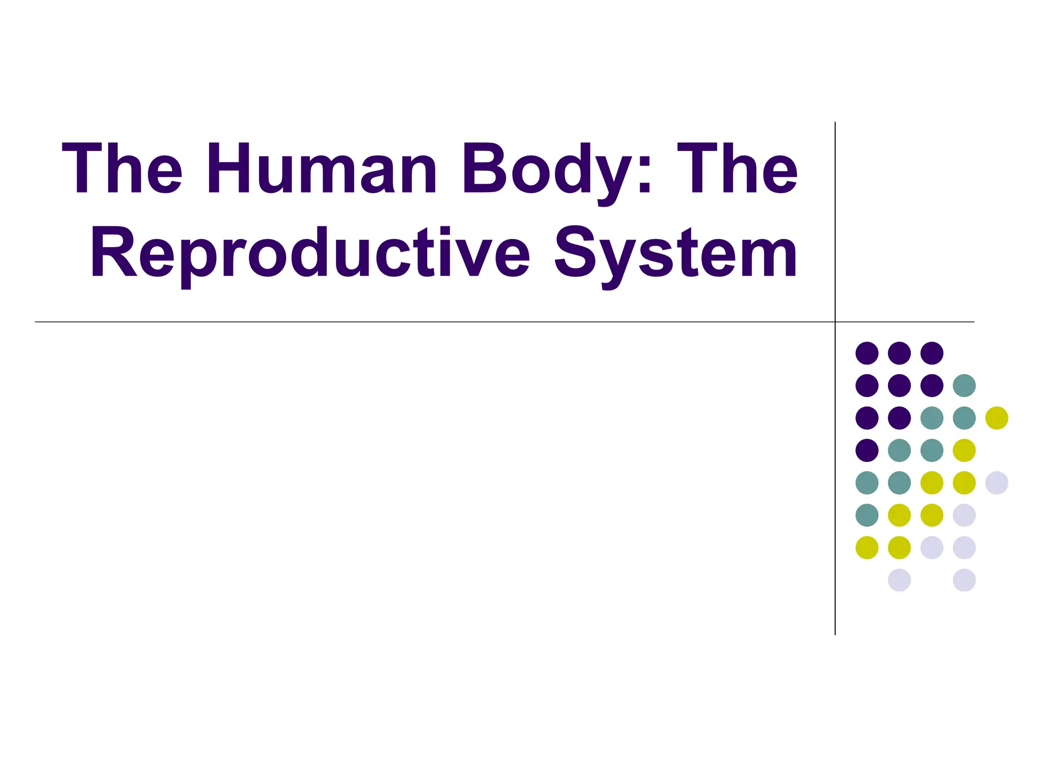 Human Body: The Reproductive System PPT2.ppt