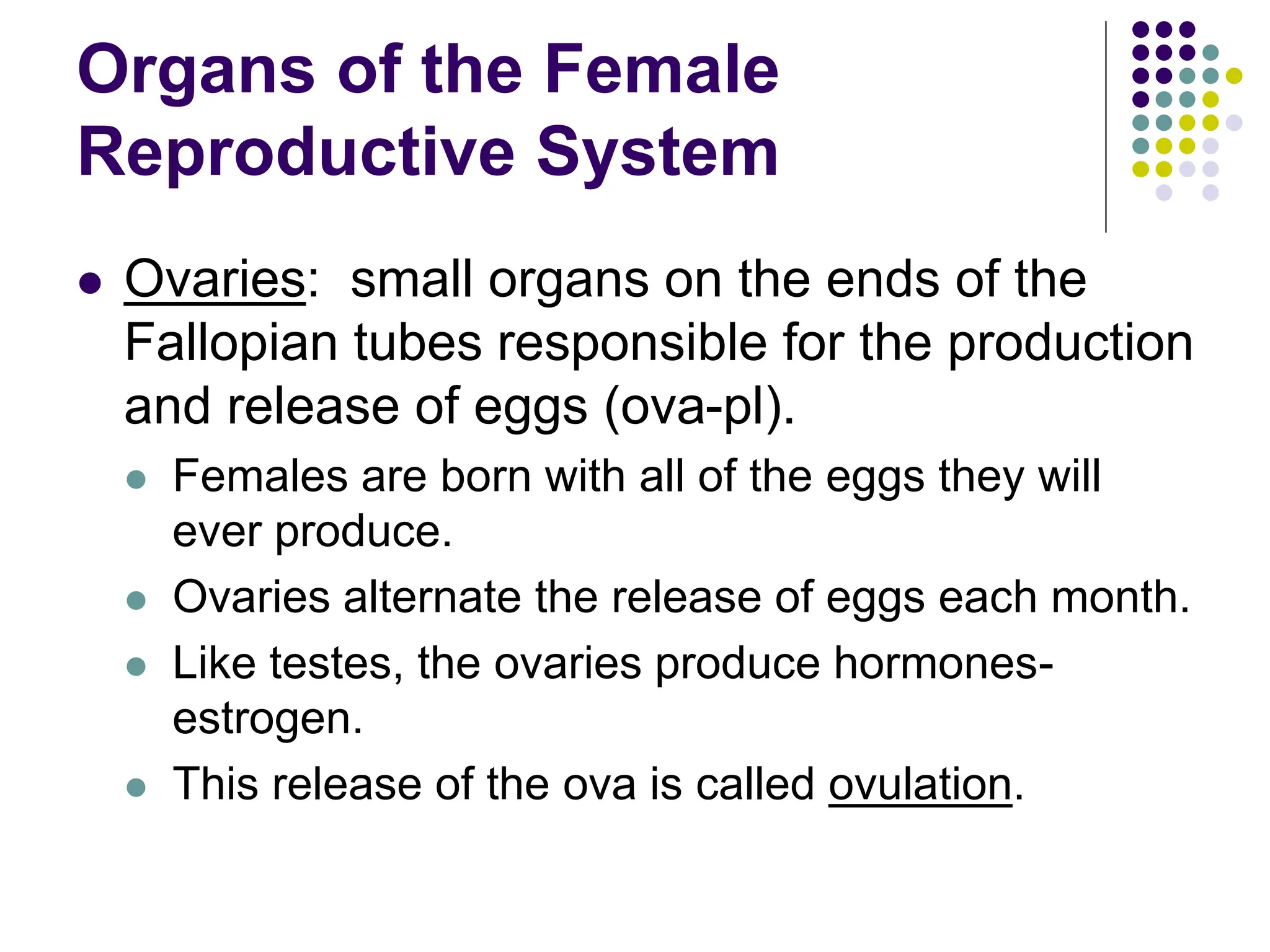 Human Body: The Reproductive System PPT2.ppt