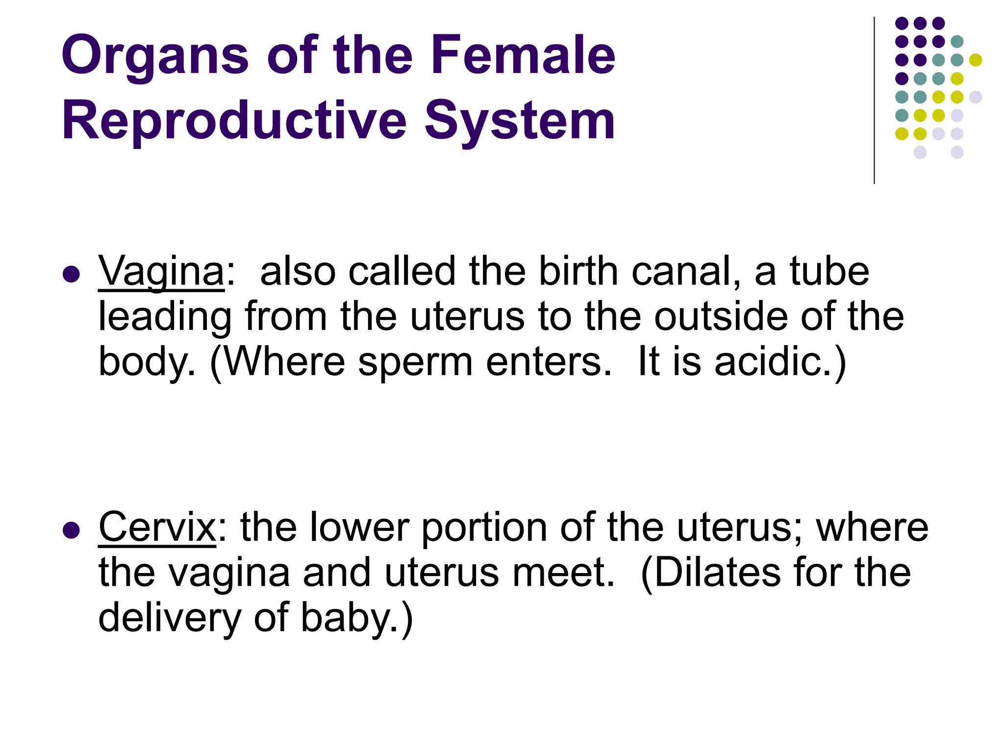 Human Body: The Reproductive System PPT2.ppt