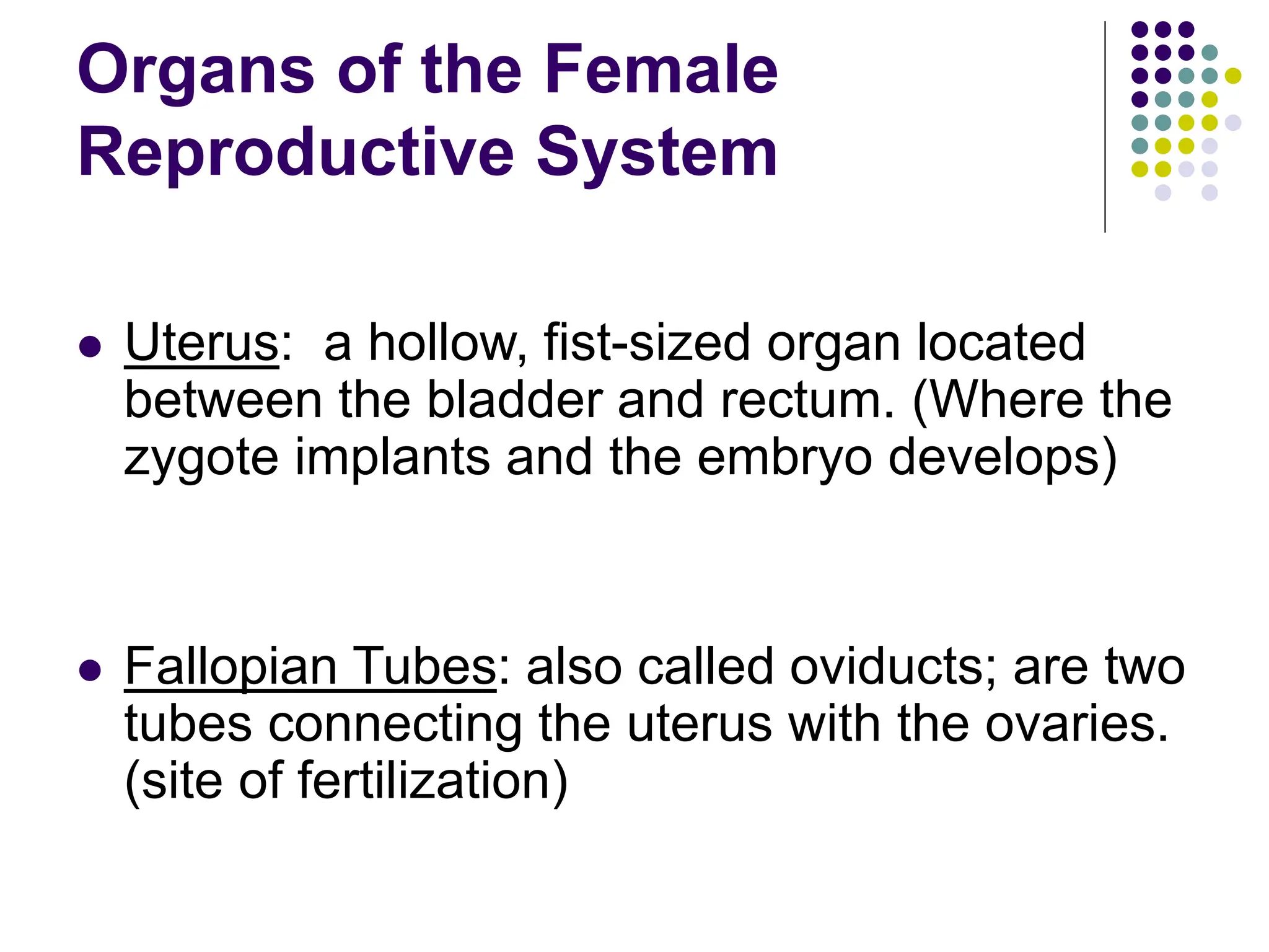 Human Body: The Reproductive System PPT2.ppt